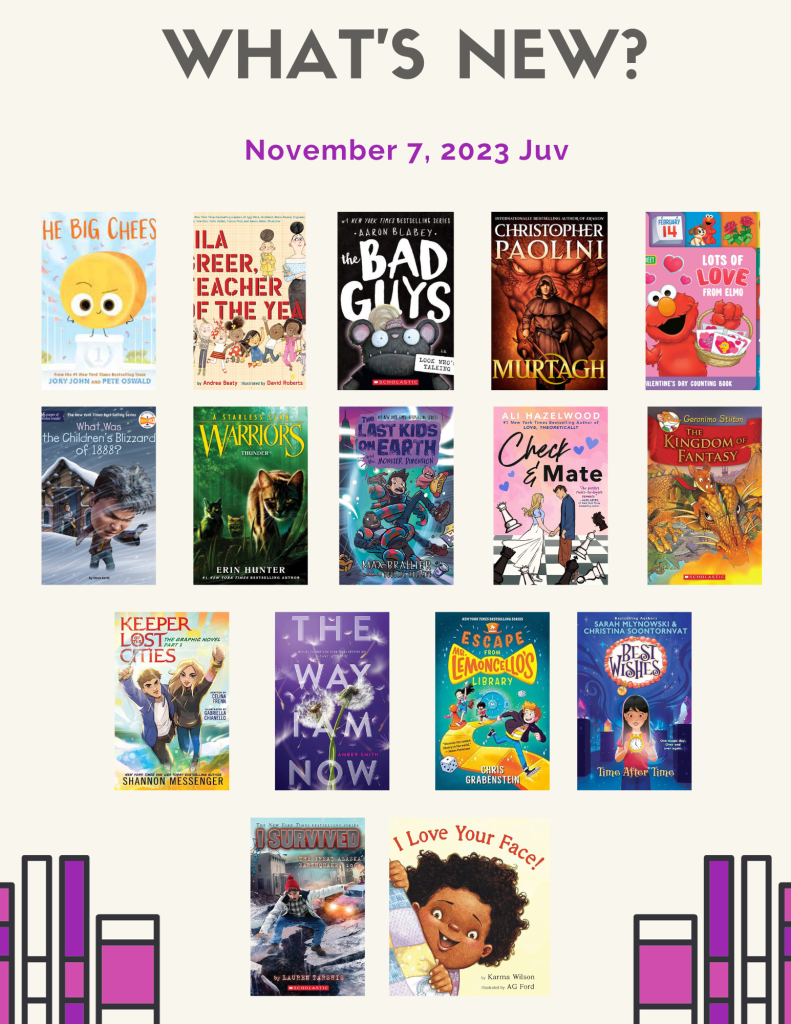 New Releases: November 7, 2023 | Lake Region Public Library